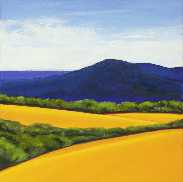 Coastal Range | Gail Morris